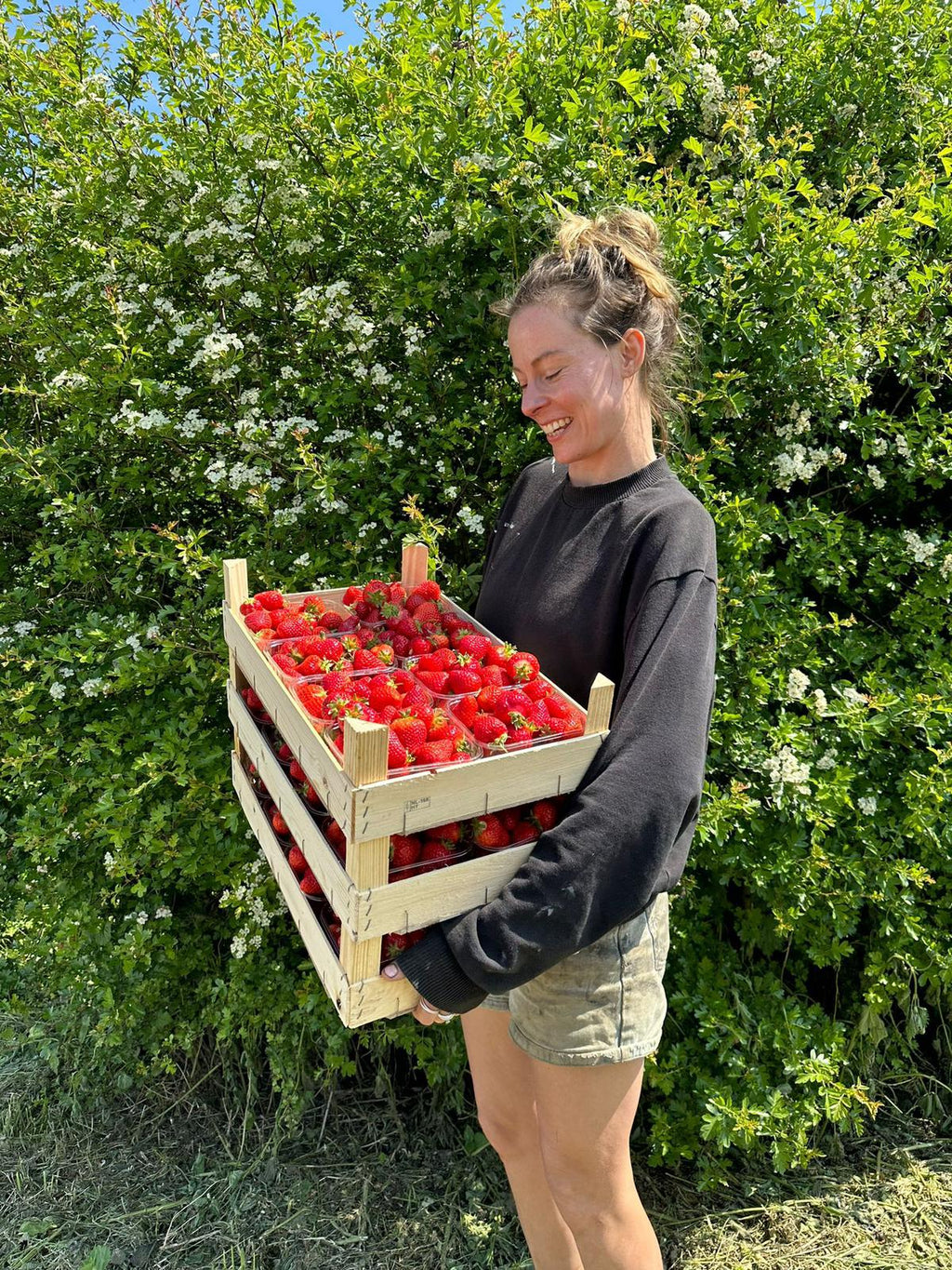 Strawberries and artichokes – Flourish Farm Shop