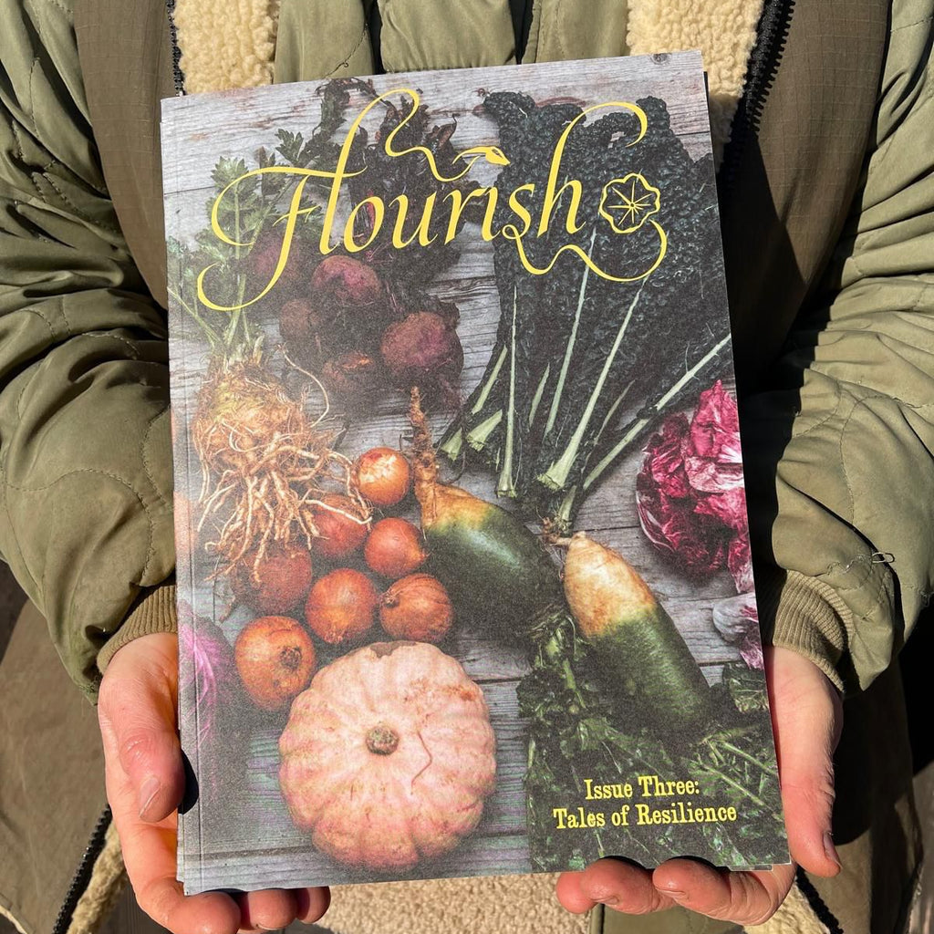 Flourish Zine Issue 3: to post to EUROPE – Flourish Farm Shop