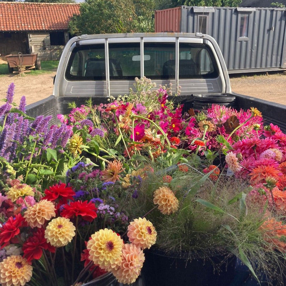 Products – Flourish Farm Shop