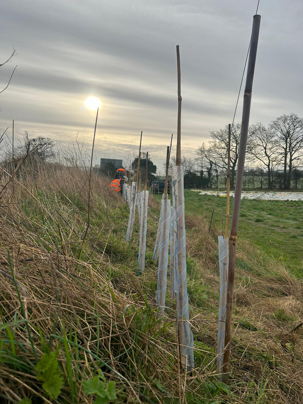Hedgerows – Flourish Farm Shop