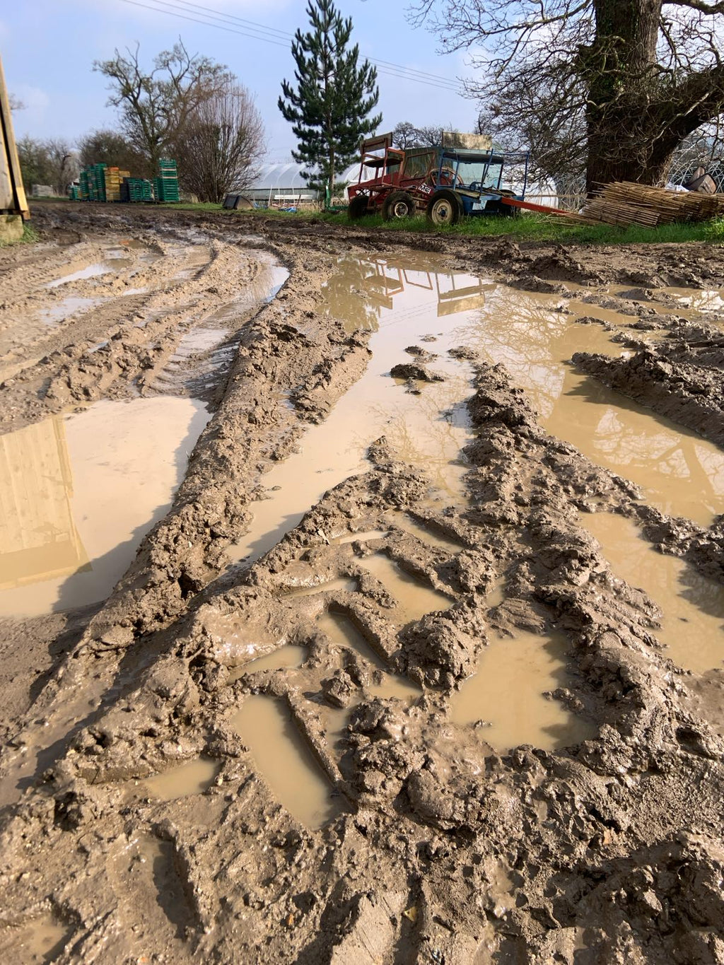 Mud and Mice – Flourish Farm Shop