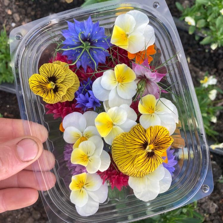 Products – Flourish Farm Shop