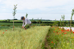 About Us – Flourish Farm Shop